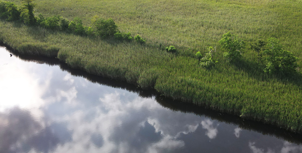 Eagle Island at the Edge: Rising Waters, Vanishing Forests, and the ...